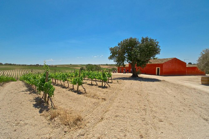 Etna Wine and Food Volcanic Weekend Immersion Tour (Private Experience) - Additional Information