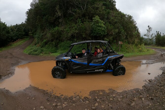 Exclusive Private Buggy Adventure: Forest and Mountains - Inclusions and Additional Information