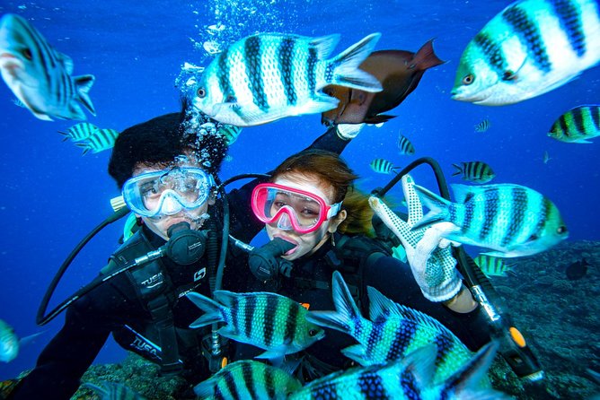 Experience Diving & Banana Boat by Boat - Common Questions