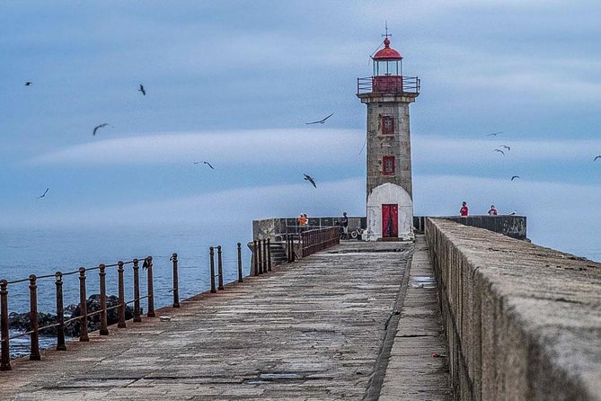 Experience Porto by Bike: 3-Hour Small-Group Tour - Positive Experiences