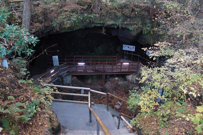Experience the Stunning Nature of Mt.Fuji - Private Tour - Booking Details