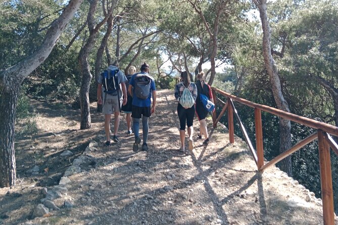 Explore the Island of Dragonera by Kayak and on Foot - Exploring the Dragonera Museum