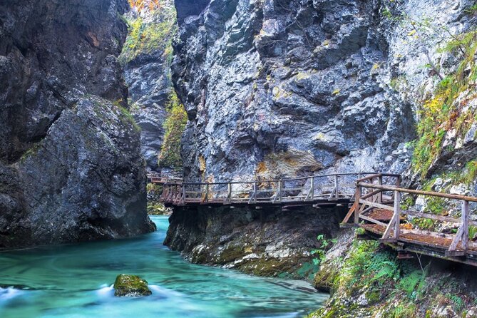 From Bled: Self-Guided E-Bike Tour to Vintgar Gorge - Customer Feedback and Recommendations