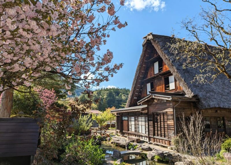 From Kanazawa: Shirakawa-Go, Gokayama and Wood Carving Art - Customer Feedback and Reviews