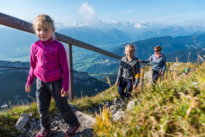 From Lucerne: Mt. Pilatus Gondola, Cable Car, and Boat Trip - The Steepest Cogwheel Railway