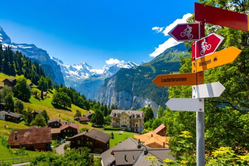 From Lucerne: Private Day Tour to Interlaken and Grindelwald - Customer Experience and Reviews