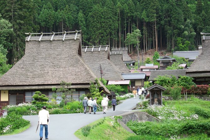 From Osaka/Kyoto: Amanohashidate & Miyama Village 1Day Bus Tour - Accessibility and Participation
