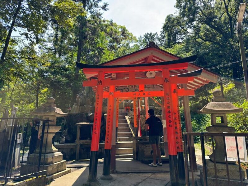 From Osaka: Kyoto Highlights One Day Private Tour - Kinkaku-ji (Golden Pavilion)