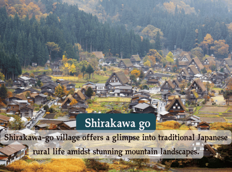 From Osaka/Kyoto: Shirakawa-go, TakaYama & Kanazawa Day Trip - Transportation and Accessibility