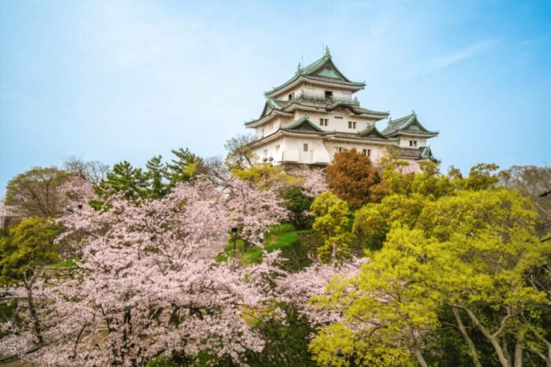 From Osaka/Kyoto:Mount Koya, Wakayama & Nachi Waterfall Trip - Transportation and Logistics