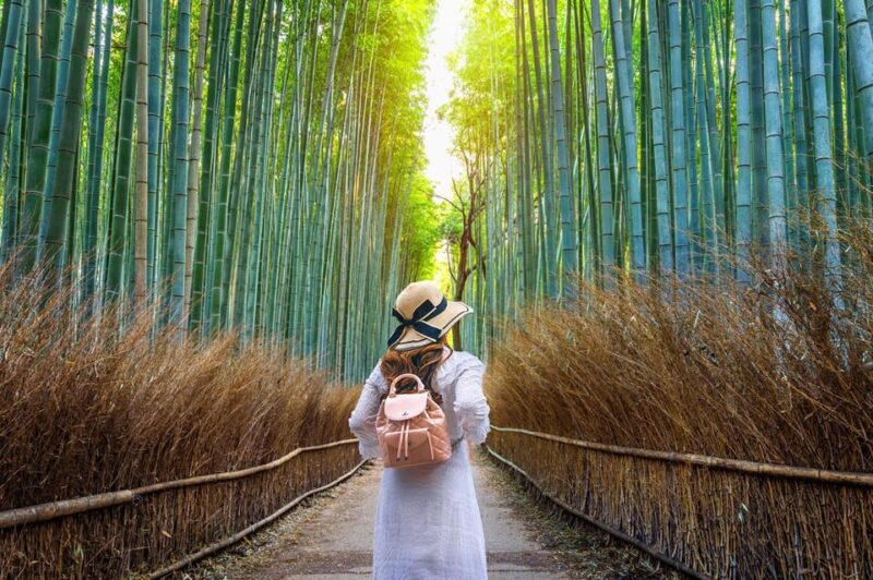 From Osaka:Kyoto&Nara Private Tour (English Speaking Driver) - Tour Experience