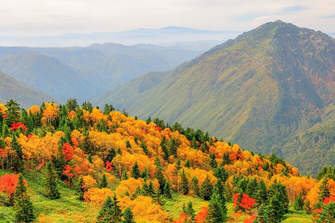 From Takayama: Alpine Splendor - Shinhotaka Ropeway and Kamikochi - Knowledgeable and Attentive Guide