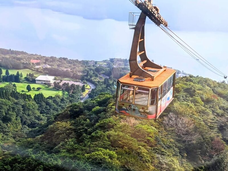 From Tokyo: Hakone Day Trip With Lake Ashinoko Boat Cruise - Inclusions and Exclusions