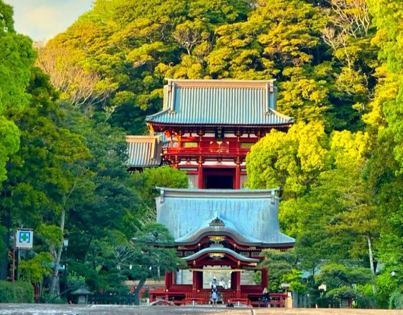 From Tokyo: Kamakura and Enoshima Full-Day Private Trip - Hokokuji Bamboo Forest