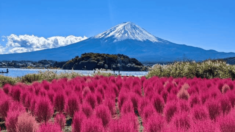 From Tokyo: Mount Fuji And Hakone Private Full Day Trip - Guide and Language Options