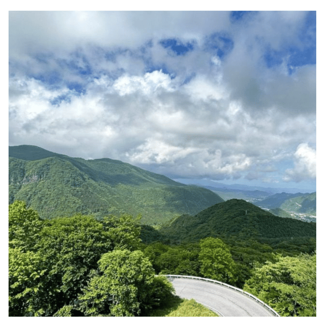 From Tokyo: Nikko Unesco Fully Customised Private Car Tour - Important Information and Recommendations