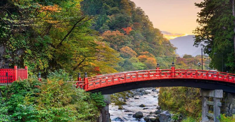From Tokyo: Nikko World Heritage Sight Full Day Private Tour - Nikko Toshogu Shrine: Exploring the UNESCO World Heritage Site
