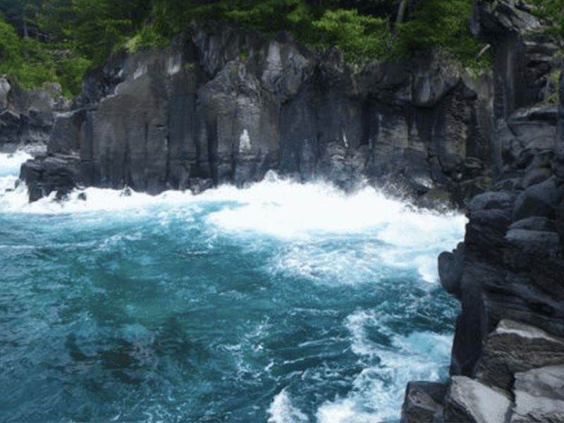 From Tokyo: Private Day Trip to Izu & Shimoda, Shizuoka - Inclusions and Exclusions