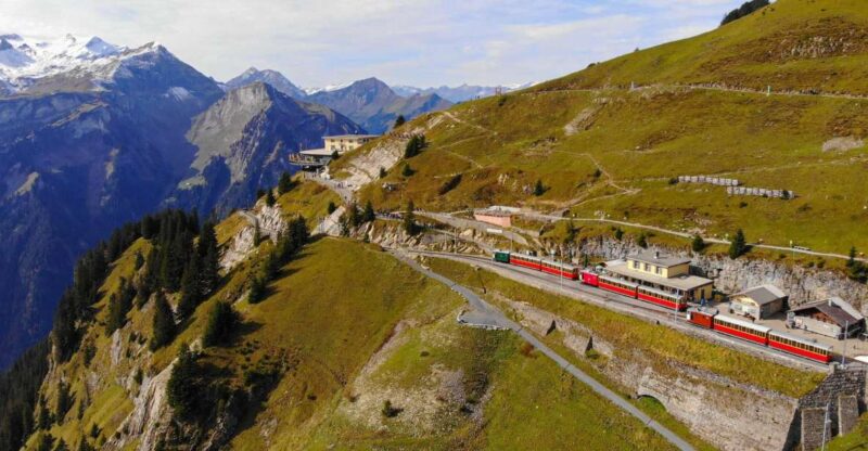 From Zurich: Grindelwald and First Cliff Walk Day Trip - Encountering Swiss Wildlife
