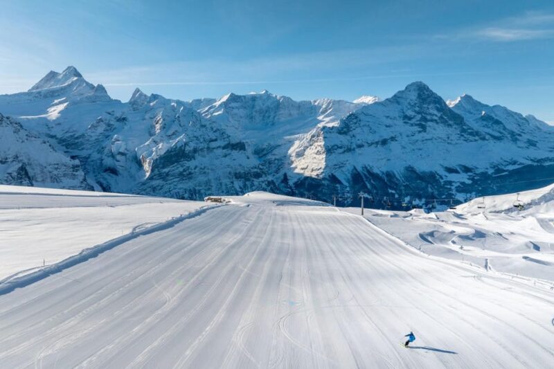 From Zurich: Grindelwald First Cable Car & Interlaken - Transportation and Inclusions