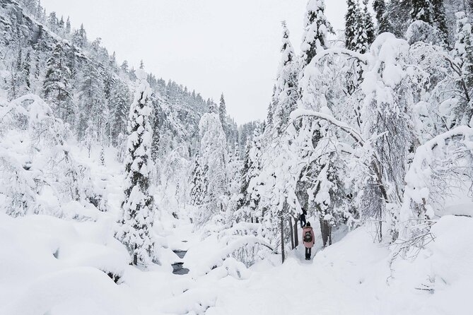 Frozen Waterfalls in Korouoma Canyon Adventure - Savoring the Delightful Outdoor Lunch Experience