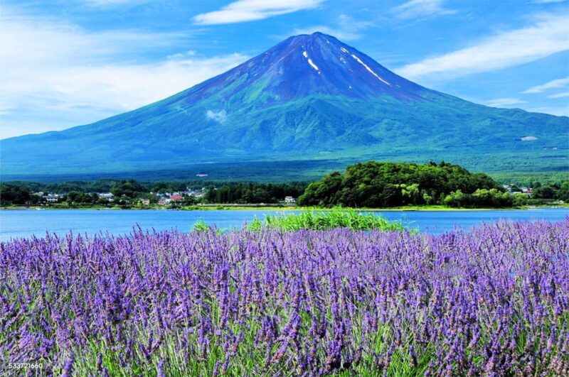 Fuji Kawaguchiko, Hot Spring, Wind & Ice Cave Adventure Day - Hot Spring Experience