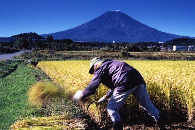 Fuji Speedway Self Drive & Mt. Fuji Private Tour Pickup on LEXUS - Cancellation and Booking