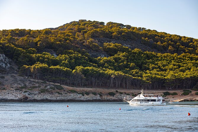 Full Day Boat Tour to the Egadi Islands - Mixed Experiences Reported