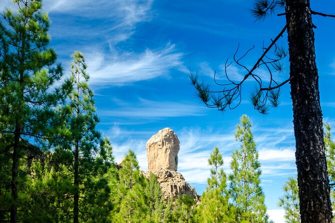 Full-Day Gran Canaria Tour With Teror, Tejeda and Lunch in Fataga - Transportation and Pickup Information