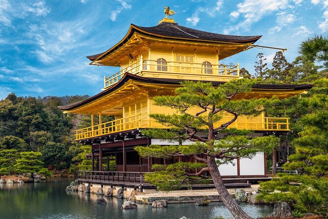 Full Day Guided Kyoto Cultural Tour - Reviews and Feedback