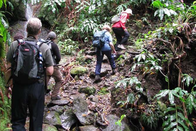 Full Day Hiking Faial Da Terra (Min. 2 Persons) - Cancellation and Booking Policies
