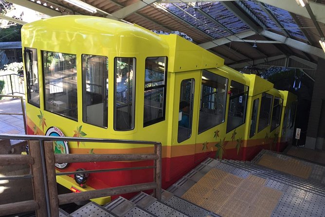 Full Day Hiking Tour at Mt.Takao Including Hot Spring - Cancellation and Booking Policies