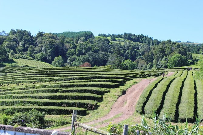 Full Day Island of São Miguel - Hidden Gems of Nordeste