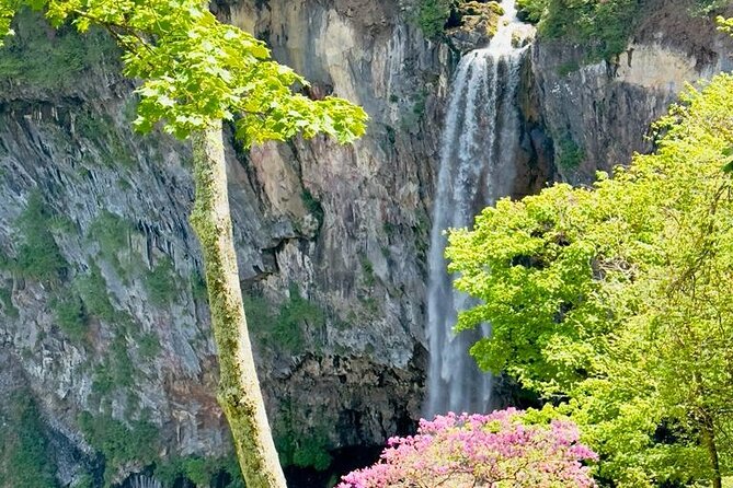 Full-Day Private Nikko Tour From Tokyo Wd English Speaking Driver - Inclusions and Exclusions