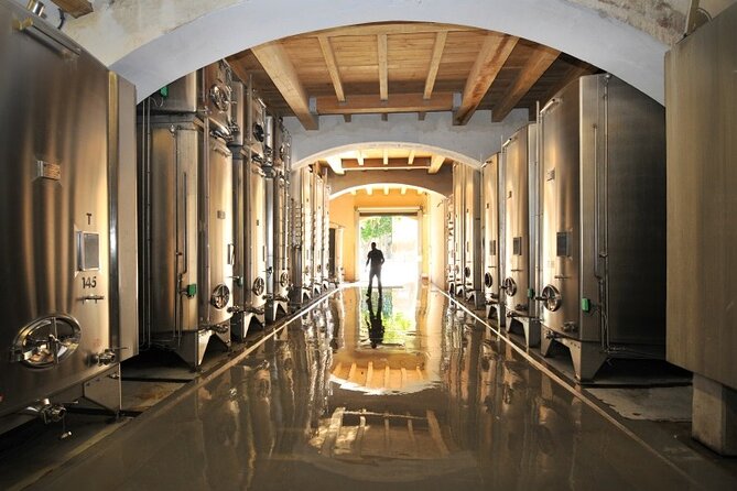 Full-Day Wine Tour Around Luberon From Marseille - Personalized and Intimate Tour Experience