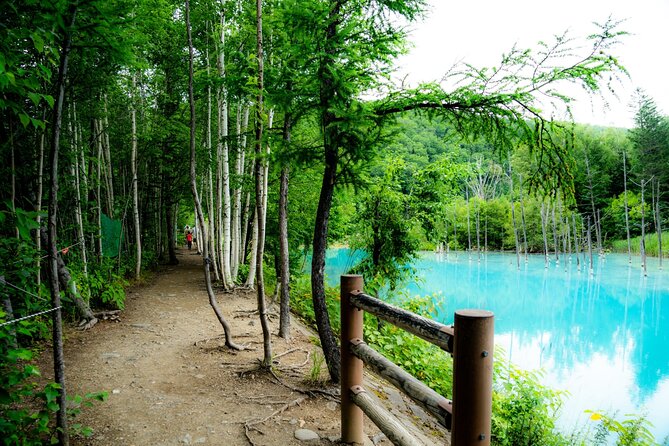 Furano Biei Tour Sapporo DEP: English Speaking Driver, No Guide - Reviews and Booking Confirmation