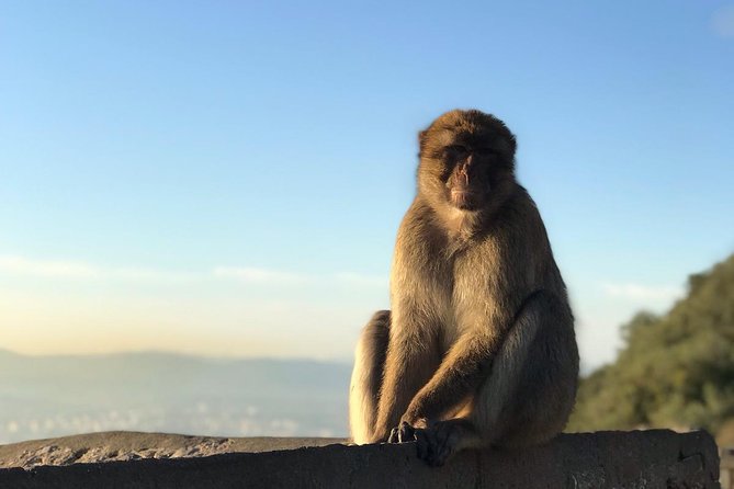 Gibraltar Sightseeing : Classic Rock Tour Plus World War 2 Tunnels (Private) - Departure Points