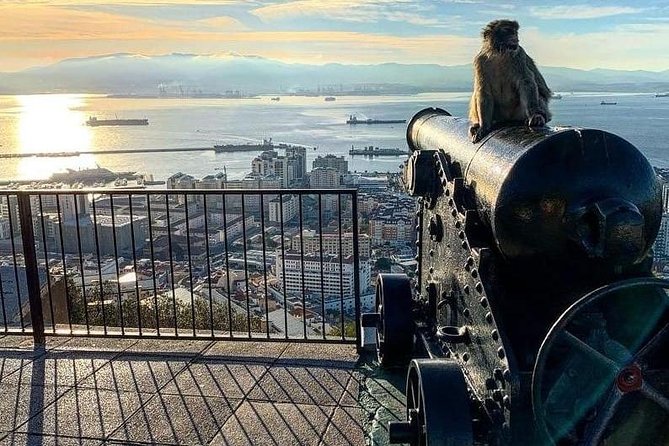 Gibraltar Sightseeing :SKYWALK AND SUSPENSION BRIDGE TOUR (Private) - Reviews and Feedback