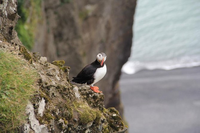 Glacier Lagoon, Diamond Beach, Black Sand Beaches and Waterfalls - Majestic Waterfalls Along the South Coast