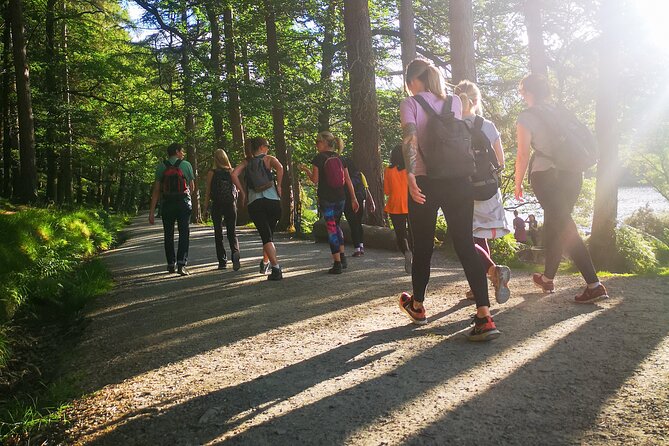 Glendalough Night Hike and History Tour - Tour Guide Expertise and Insights