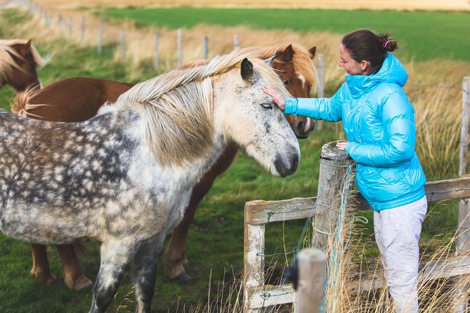 Golden Circle & Viking Horse Experience - Customer Feedback