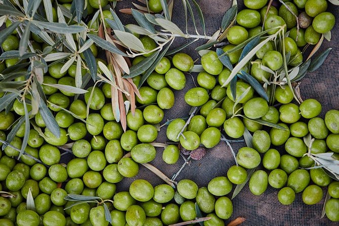 Gourmet Cooking Class & Culture in the Rural Montes De Malaga. - Transportation and Meeting Point