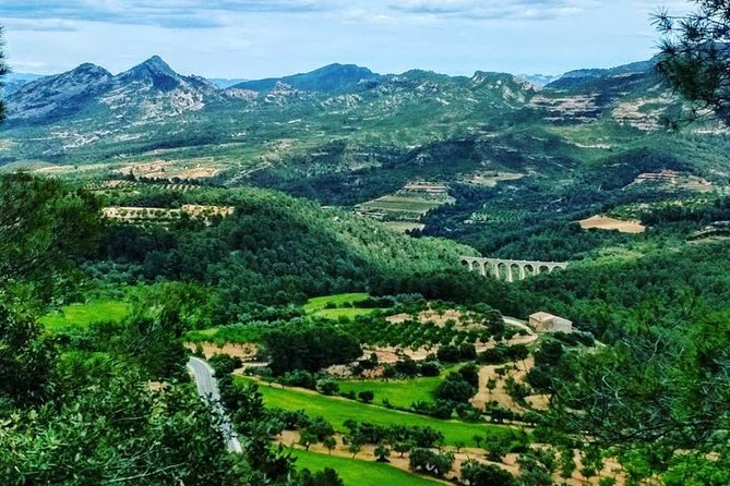 Greenway Section Cretas - Horta De Sant Joan 11KM (90% Descending 10% Flat) - Booking Information