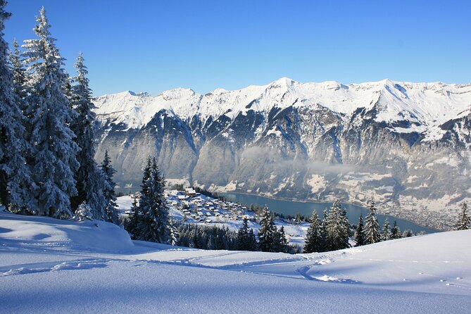 Grindelwald and Interlaken Independent Day Trip From Lucerne - Grindelwald: Exploring the Alpine Village