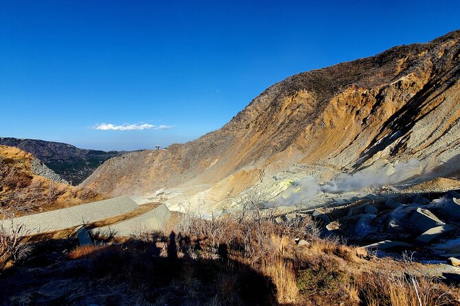 Guided 2 Days Tour Tokyo ,Mt Fuji and Hakone GREEN NUMBER PLATES - Booking Information