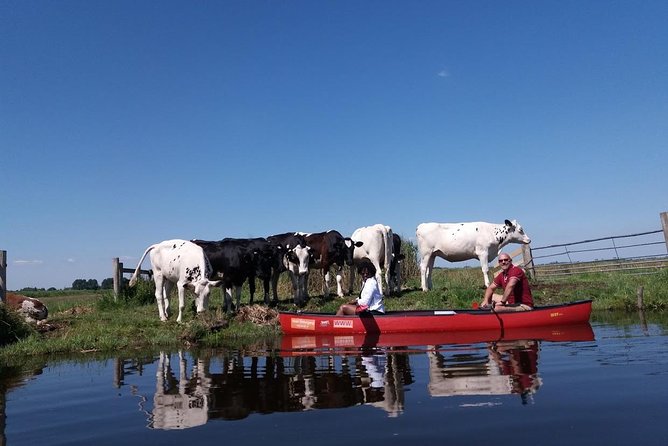 Guided Canoe Adventure With Picnic Lunch in Waterland From Amsterdam - Availability and Booking Details