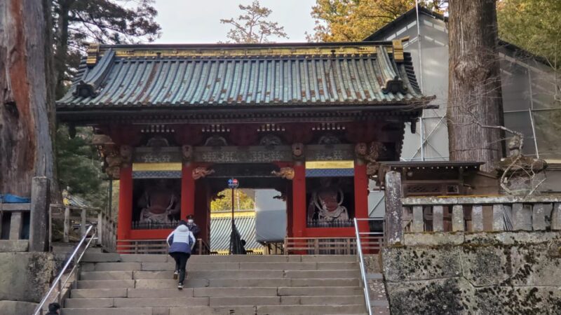 Guided Nikko Private Tour GREEN NUMBER PLATES - Inclusions