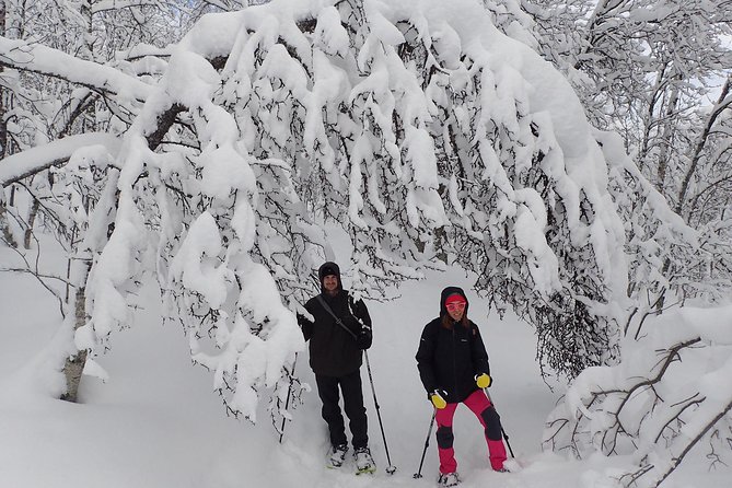 Guided Snowshoe Walk on Tromsoya Island in Tromso - Traveler Reviews and Feedback