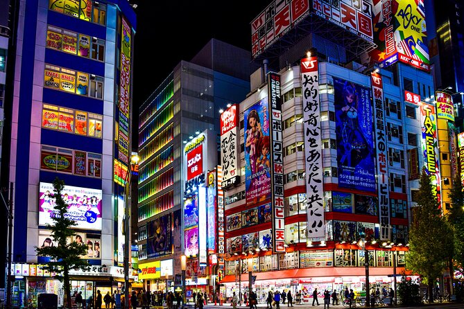 Guided Tokyo Private Tour GREEN NUMBER PLATES - Reviews and Ratings