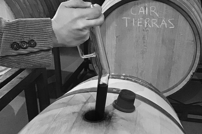 Guided Tour Glass in Hand With Wine Tasting Directly From the Barrel - Savoring the Flavors: Wine and Appetizer Pairings